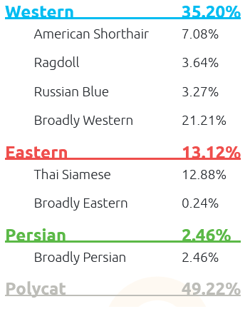 The Basepaws DNA Test: What You Need to Know - An In-Depth Review